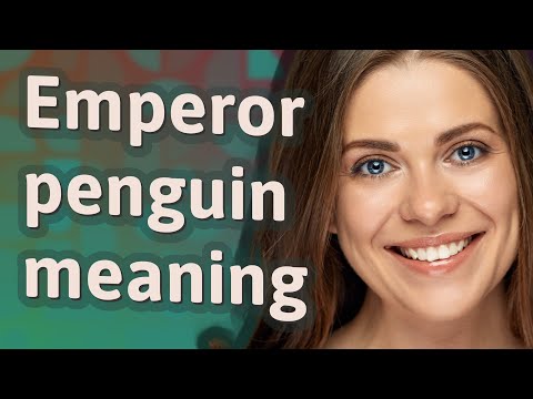 Emperor penguin | meaning of Emperor penguin