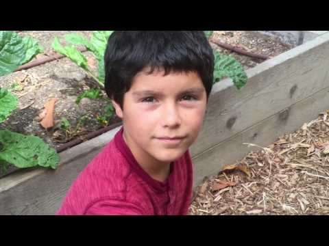 Ocean Charter School