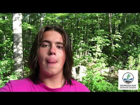 Language with Dawson: Seasons in Anishinaabemowin