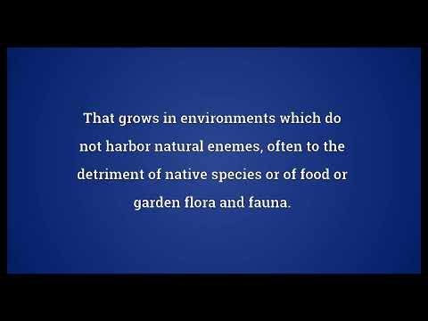 Invasive Meaning