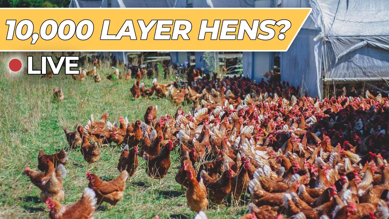 LIVE Tour: Seven Sons Farms [Regenerative Agriculture]