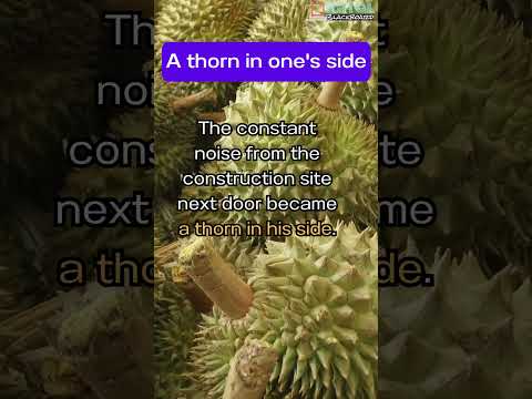 English Idiom: A thorn in one's side