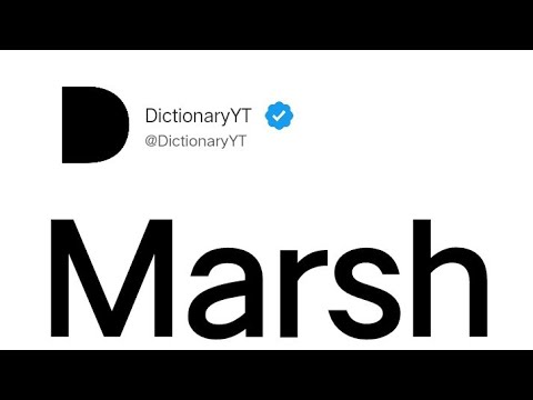 Marsh Meaning in English