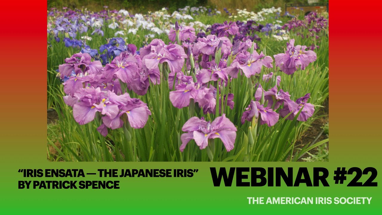 Webinar #22 