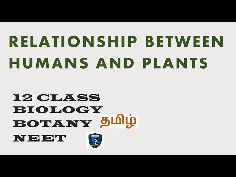Relationship between humans and plants in Tamil | Plant Breeding I Botany | Class 12 | TNSCERT
