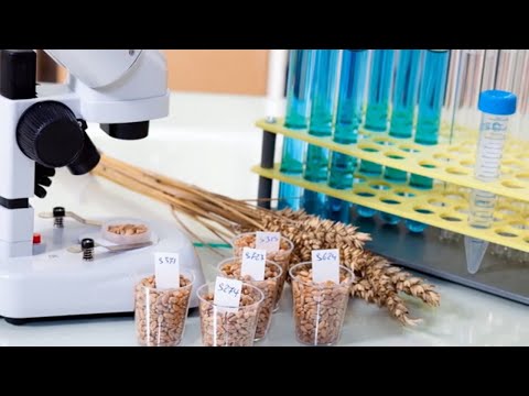Food Testing Laboratory, Food Testing Lab in India
