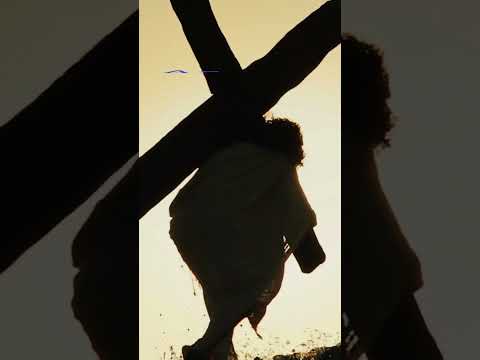 Do Not Be Deceived - Bible Verse Shorts. Subscribe To Support Thx. God Bless You.
