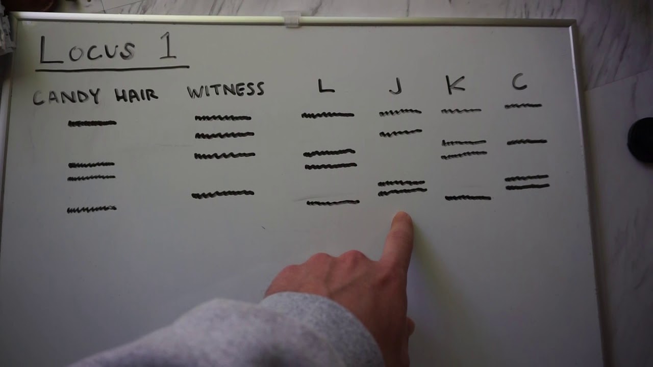 GN311 Exam 5-2 Mini Video: Gel Electrophoresis