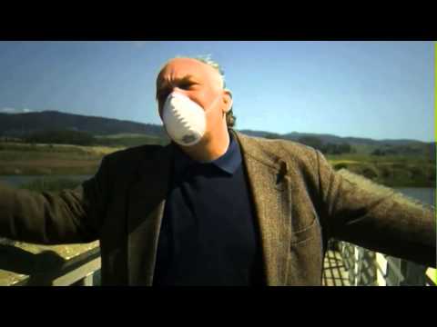 Watch English Trailer Of Birdemic Shock And Terror