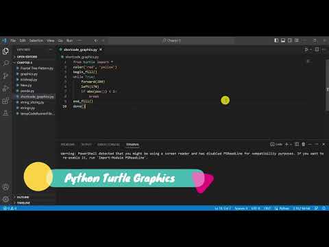 Best Python Turtle Graphics || VS Code || #python #pythonprogramming #turtle