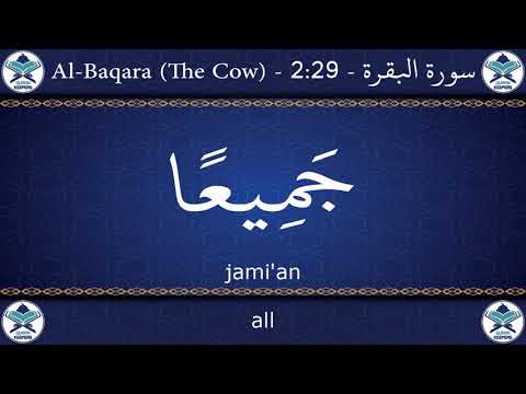 Learn Surah Al-Baqara Word By Word in English Translation + Arabic Transliteration