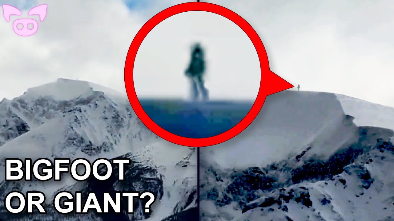 You Won't Believe These Weird and Creepy Videos