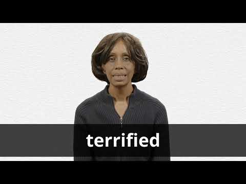 TERRIFIED definition and meaning | Collins English Dictionary