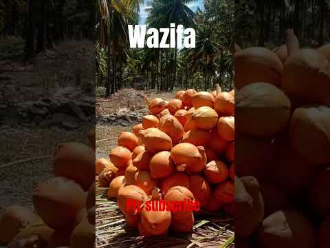 wazifa hair fall #wazifaforhair #wazifa #qurantilawat #islqmicshort #quotes #bayan #allbayan #love