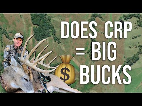 Is CRP Right For Your Farm?