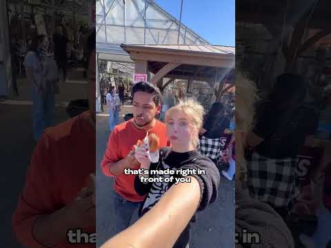 Fun Fall Activities In New Jersey ππ #fall #mountaincoaster #applepicking #fallactivities #nj