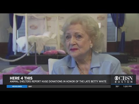 Animal Shelters Report Huge Donations In Honor Of Betty White