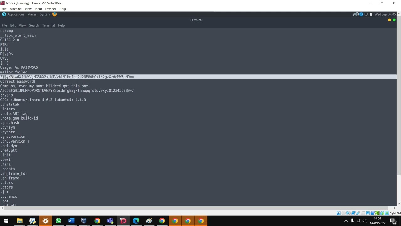 Reverse Engineering | Decoding base64 easy in Linux