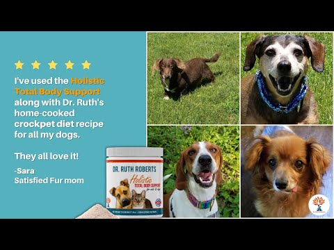 The Best Multivitamins For All My Dogs - Sara Holden Testimony | Holistic Total Body Support