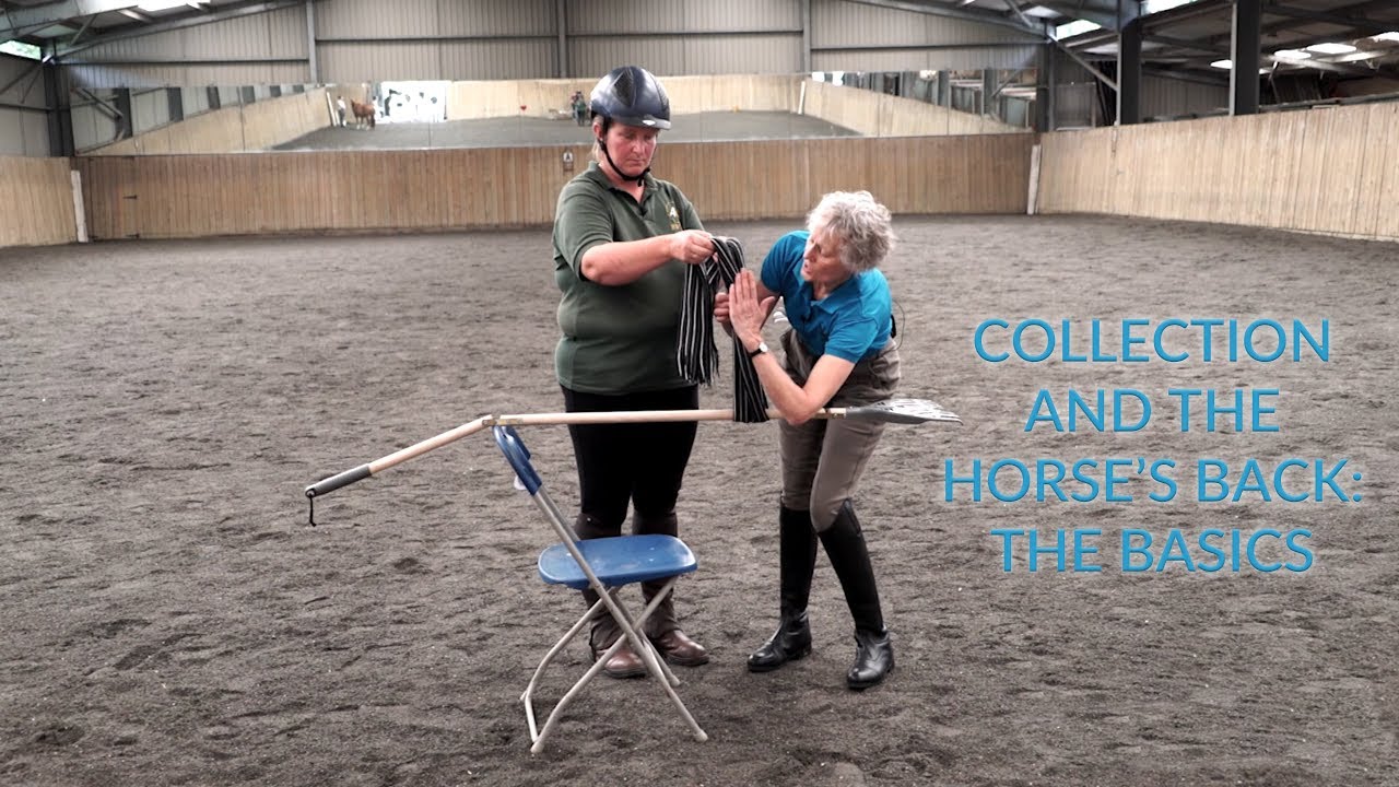 Collection And The Horse's Back: The Basics