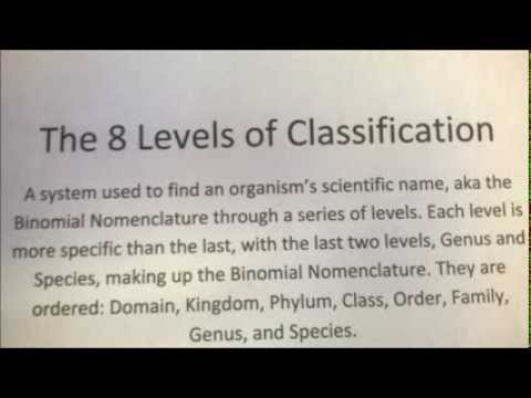 The 8 Levels of Classification