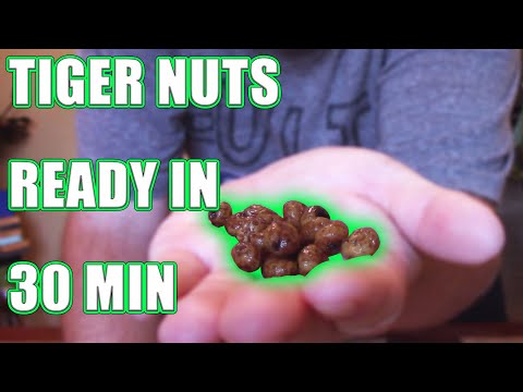 How to prepare tiger nuts for carp fishing bait no soaking or boiling required