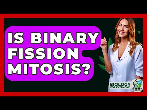 Is Binary Fission Mitosis? - Biology For Everyone