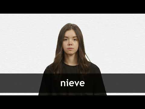 English Translation of “NIEVE” | Collins Spanish-English Dictionary