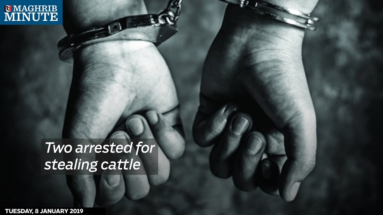 Two arrested for stealing cattle - Times of Oman