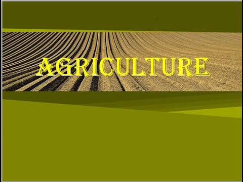 Agriculture PPT|| Geography || Class X CBSE
