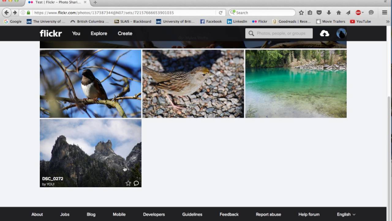 Flickr Tagging Tutorial