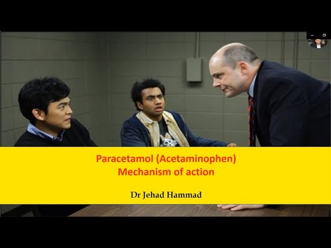 Paracetamol (Acetaminophen): Mechanism of Action