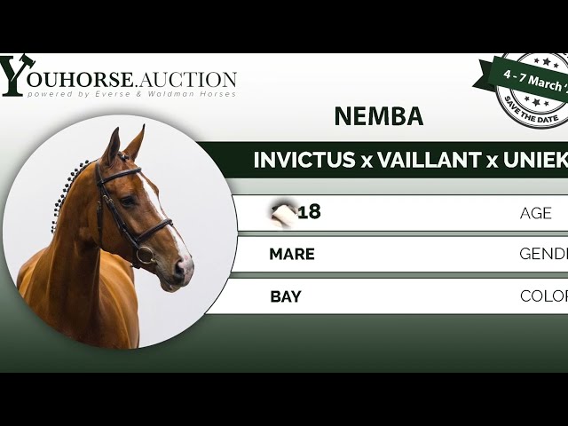 Youhorse.auction | Nemba