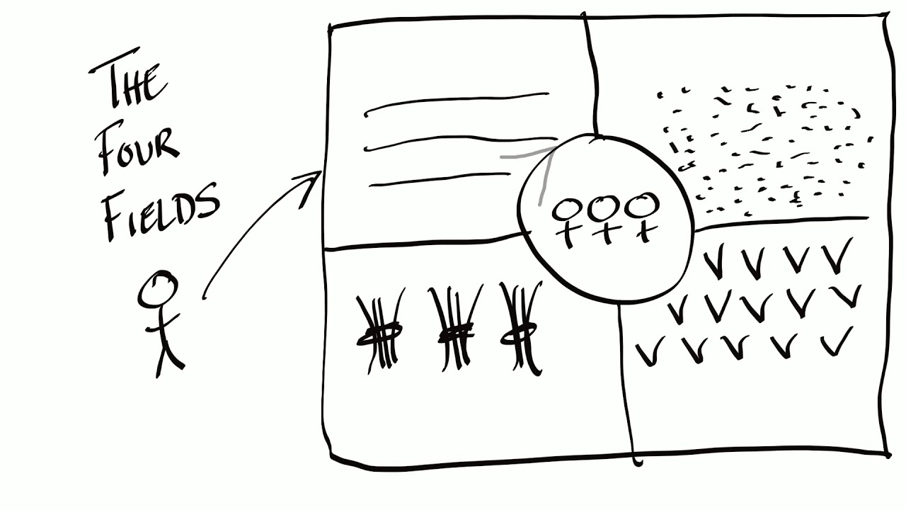 Simple Four Fields Illustration