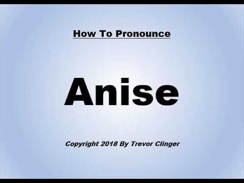 How To Pronounce Anise Correctly (In English)