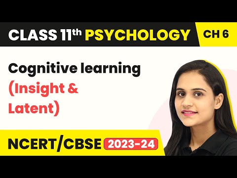 Cognitive learning (Insight & Latent) | Class 11 Psychology Chapter 6
