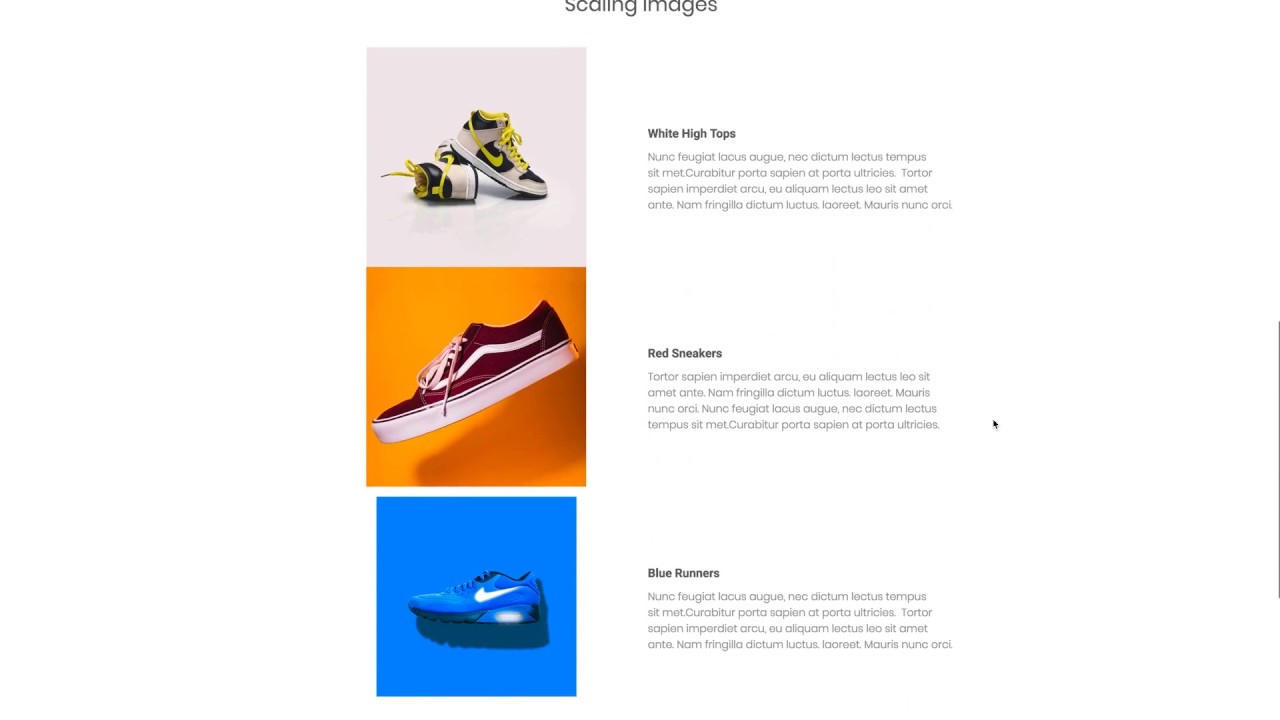 Animations Widget - Tutorial by Without Code