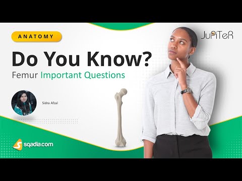 Femur important Questions | Bone Anatomy Medical Student Lecture | V-Learning™