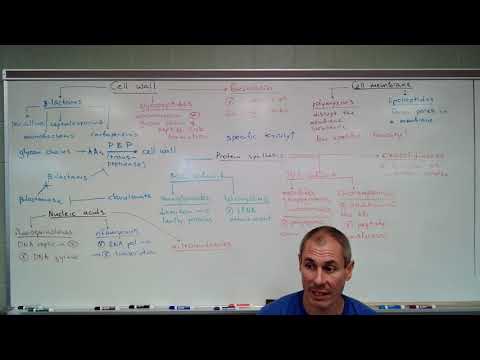 Antibiotics targeting nucleic acid synthesis