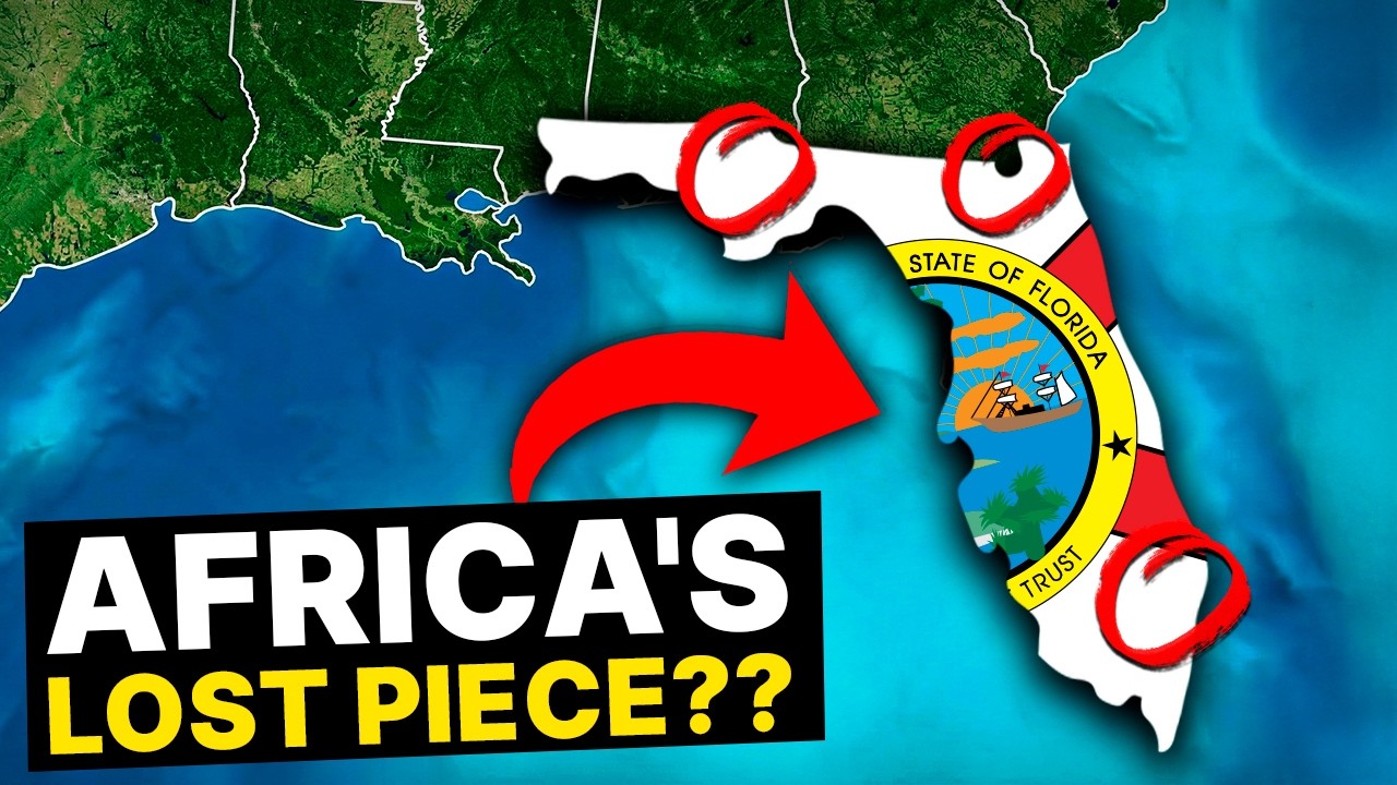 50 Wild Facts About Florida They Never Taught You In School