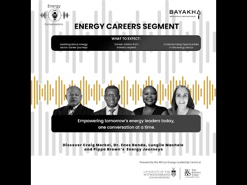 Energy Careers: Dr. Enos Banda, Lungile Mashele, Craig Morkel and Pippa Brown