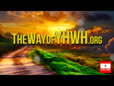 What do the names Joel and Petuel mean in Joel chapter 1: 1?