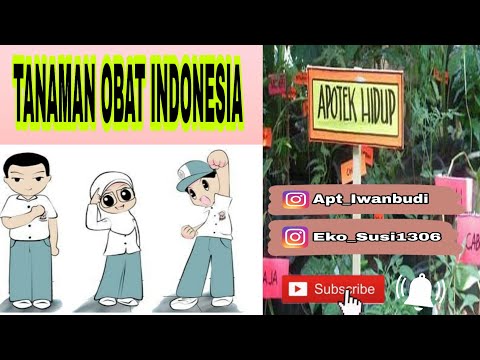 Tanaman Obat Tradisional