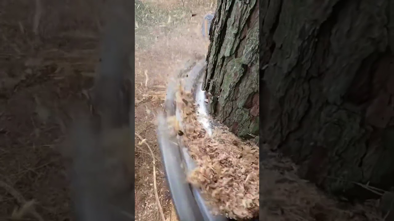 Inertia saw wood cutter