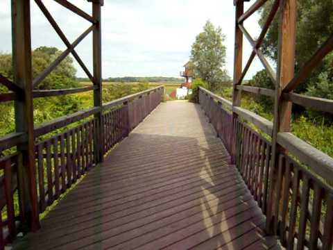 Crossing The Bridge at Andau