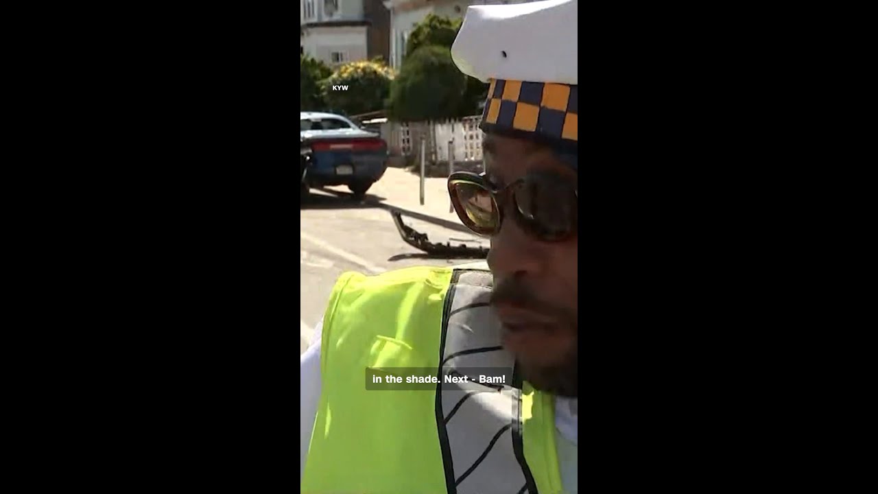 Crossing guard goes viral after recounting car crash