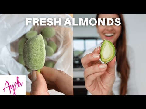 Fresh Almonds
