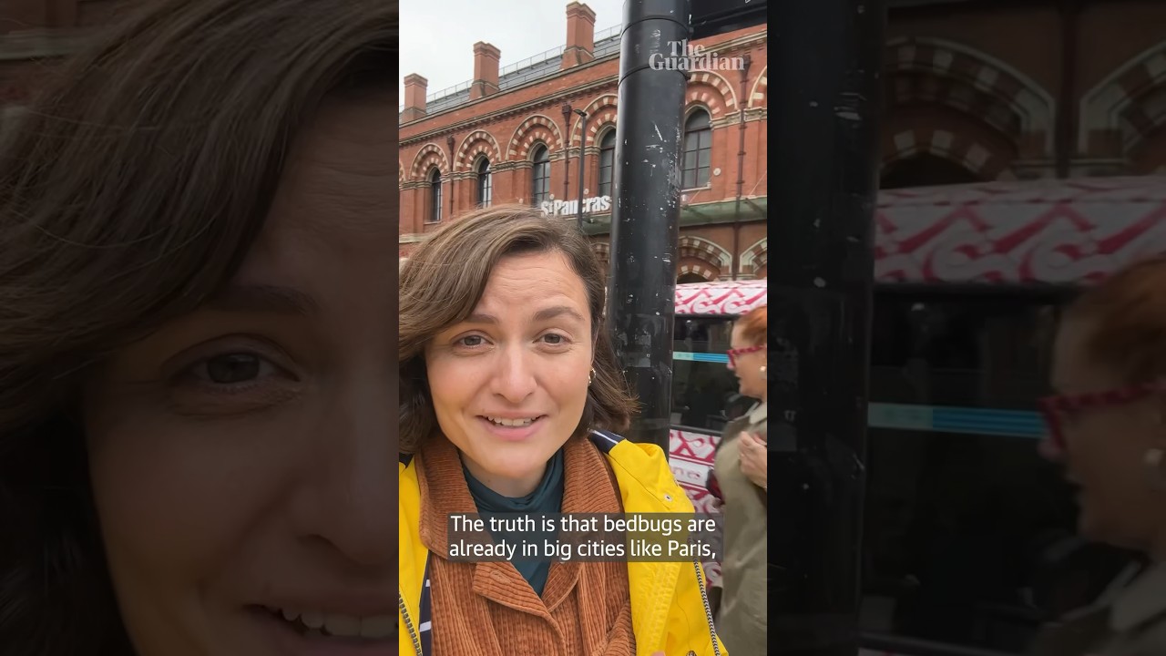 Should the UK be worried about bedbugs?