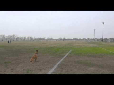Furthest Down Record: 350 Yards with 5 Days of Training