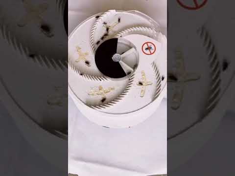 Bye Bye Bugs: The Ultimate Fly-Catching Device for Summer